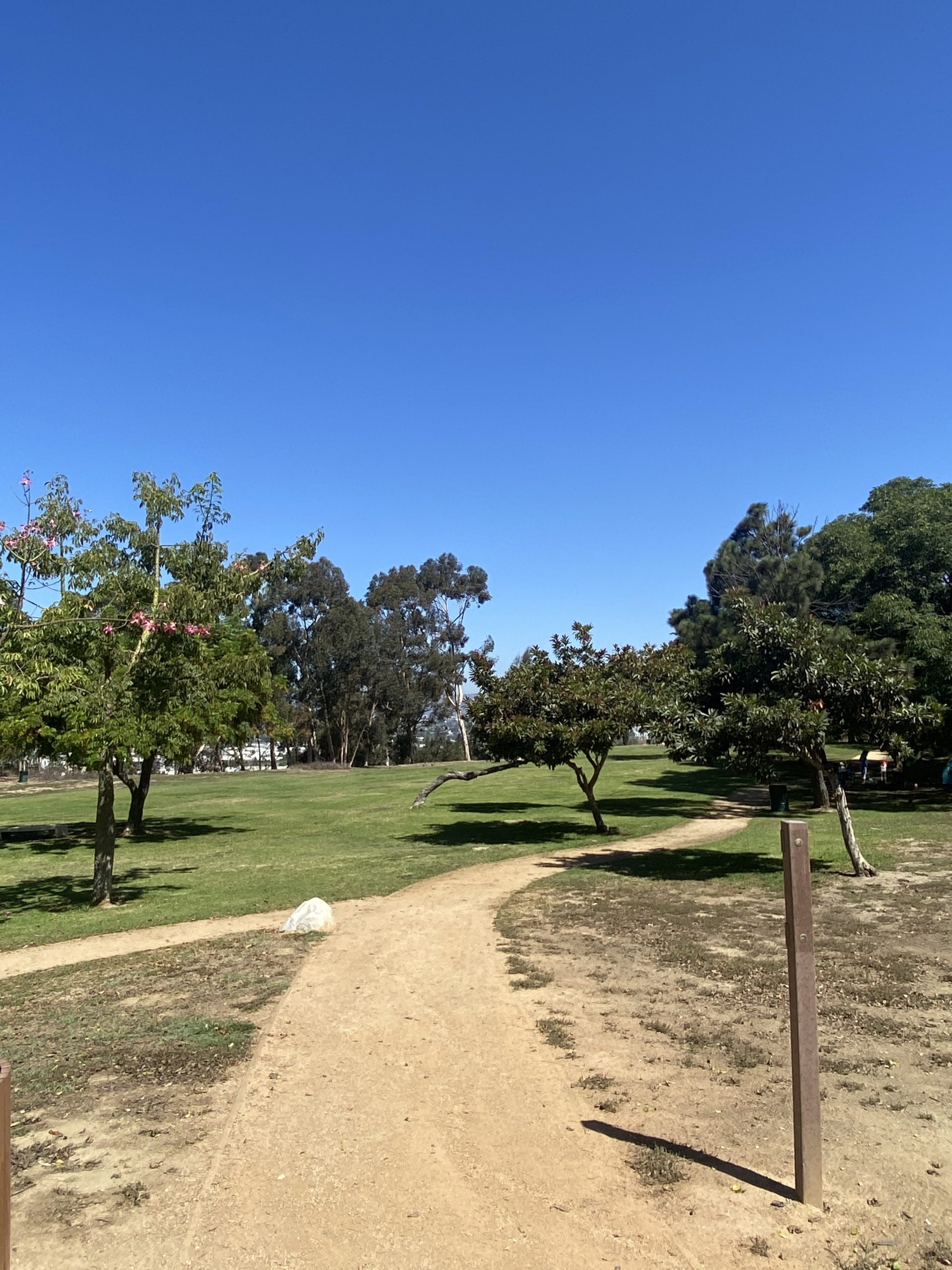 Best Activities to Do Near SoFi Stadium - Los Angeles Traveler