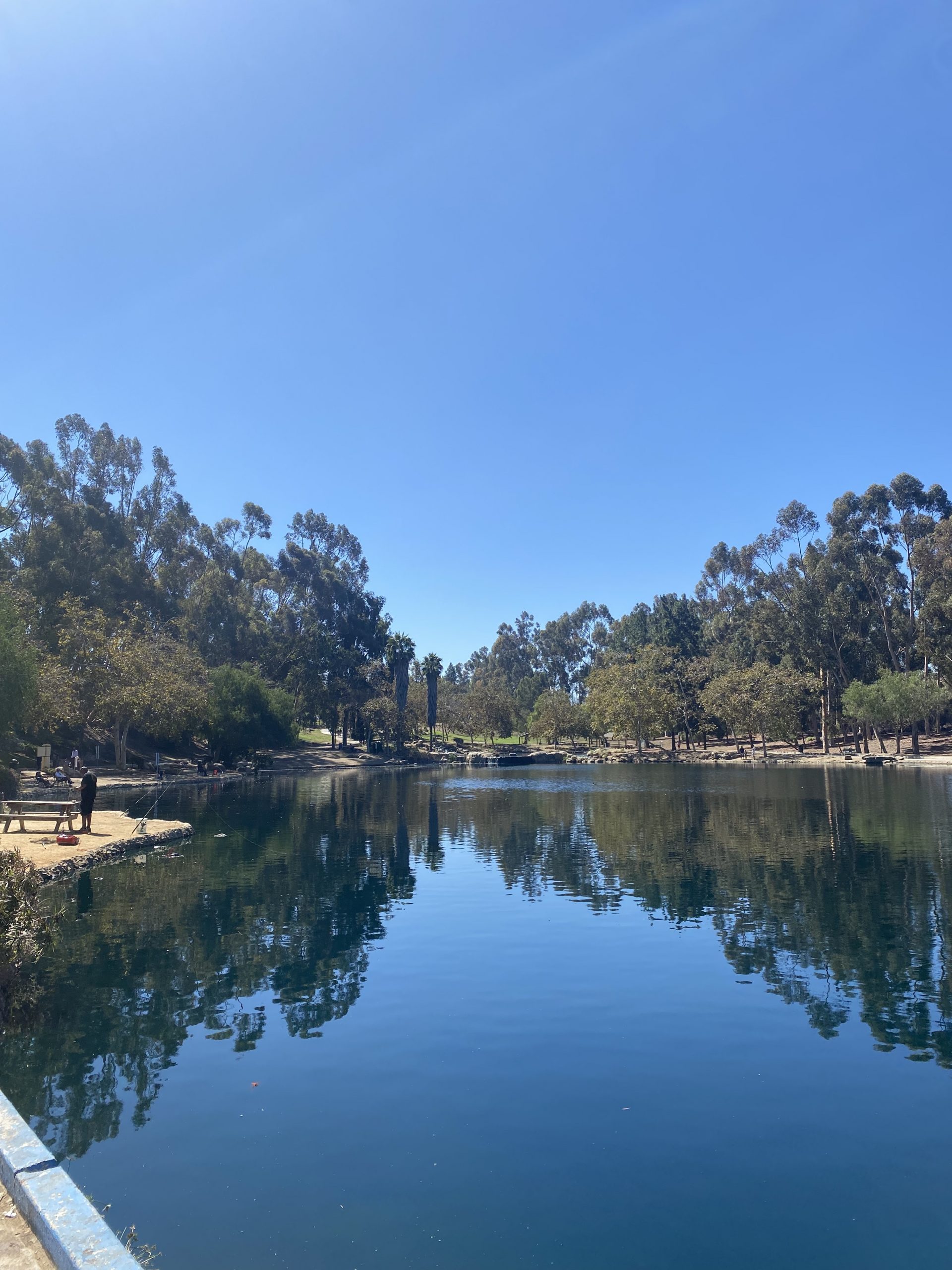 Best Activities to Do Near SoFi Stadium - Los Angeles Traveler